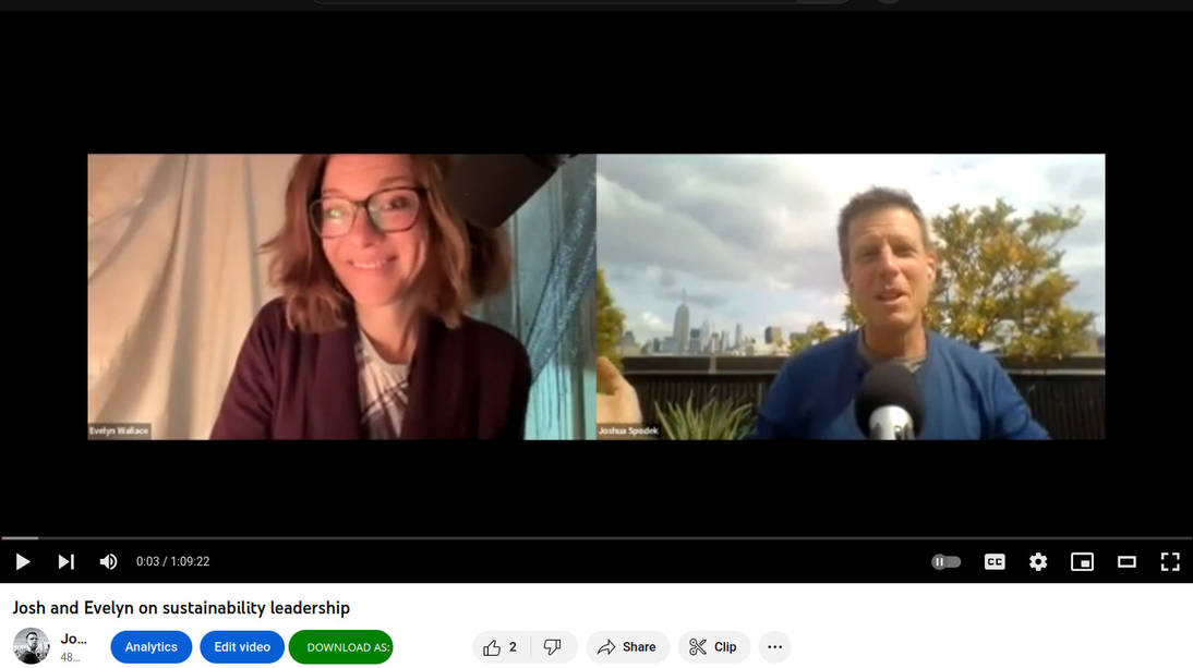 Watch my first livecast on sustainability leadership with Evelyn ...