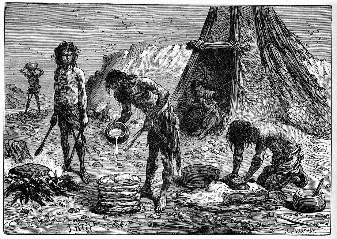 Likely Myth: Food Was Scarce for Our Ancestors Before Agriculture ...