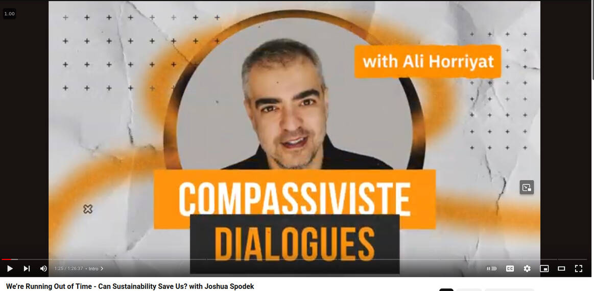 “We’re Running Out of Time—Can Sustainability Save Us? with Joshua Spodek” Hear me on the ...